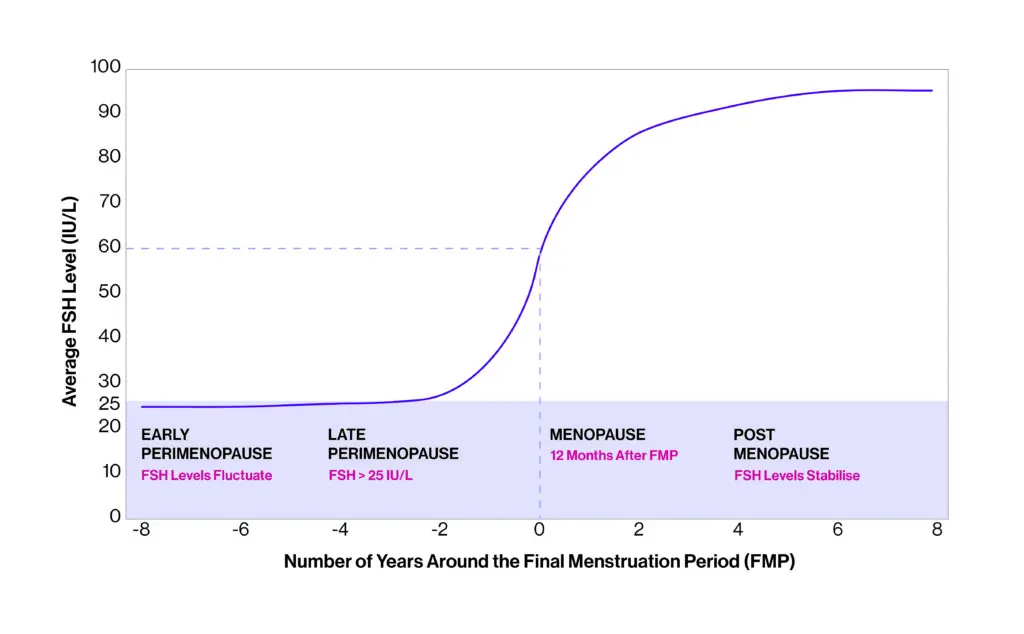 Understanding Perimenopause and Home Testing - e.p.t. Family
